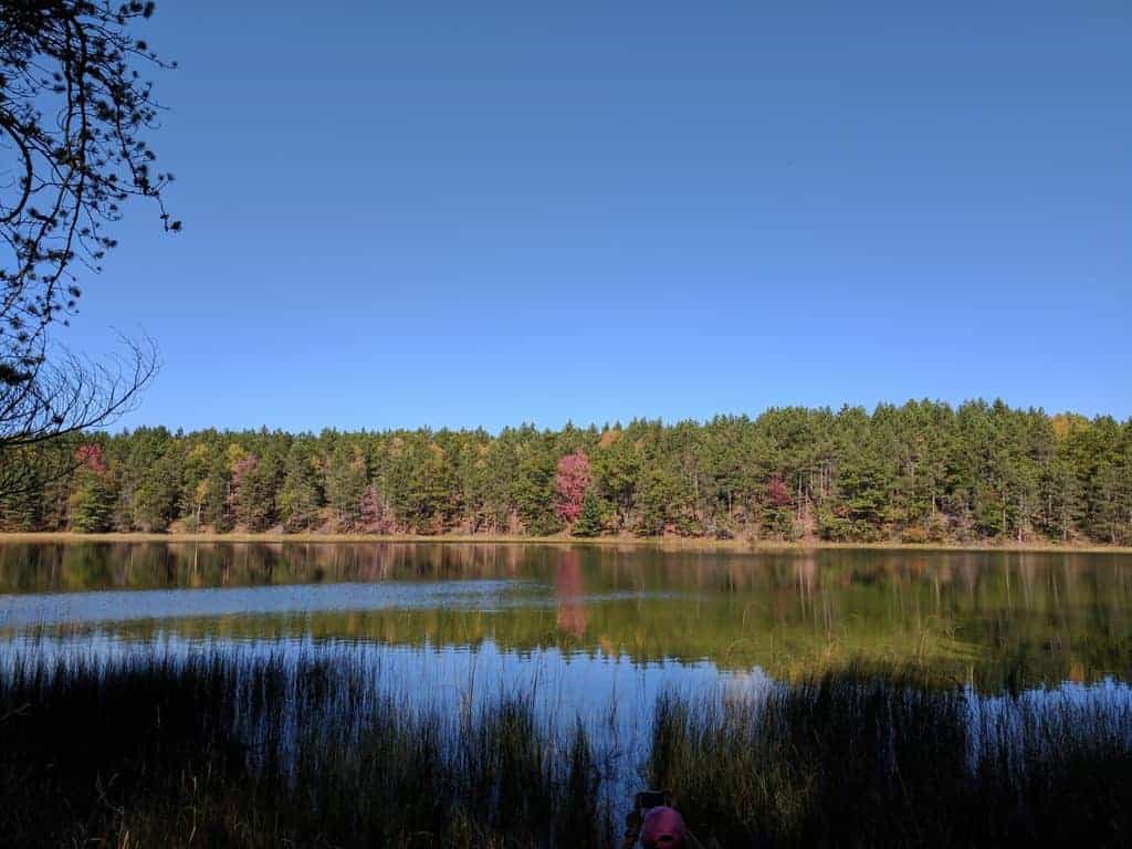 Pigeon River Country State Forest - TREKERS