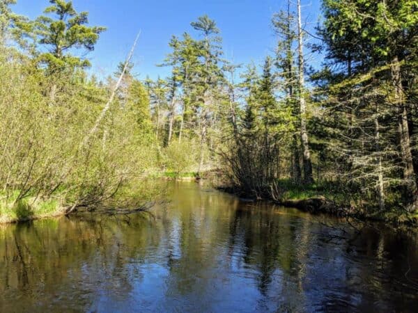 Michigan State Parks: Hartwick Pines - TREKERS