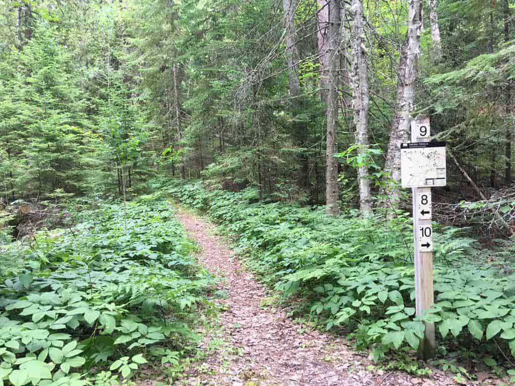 Michigan State Parks: Wilderness - TREKERS
