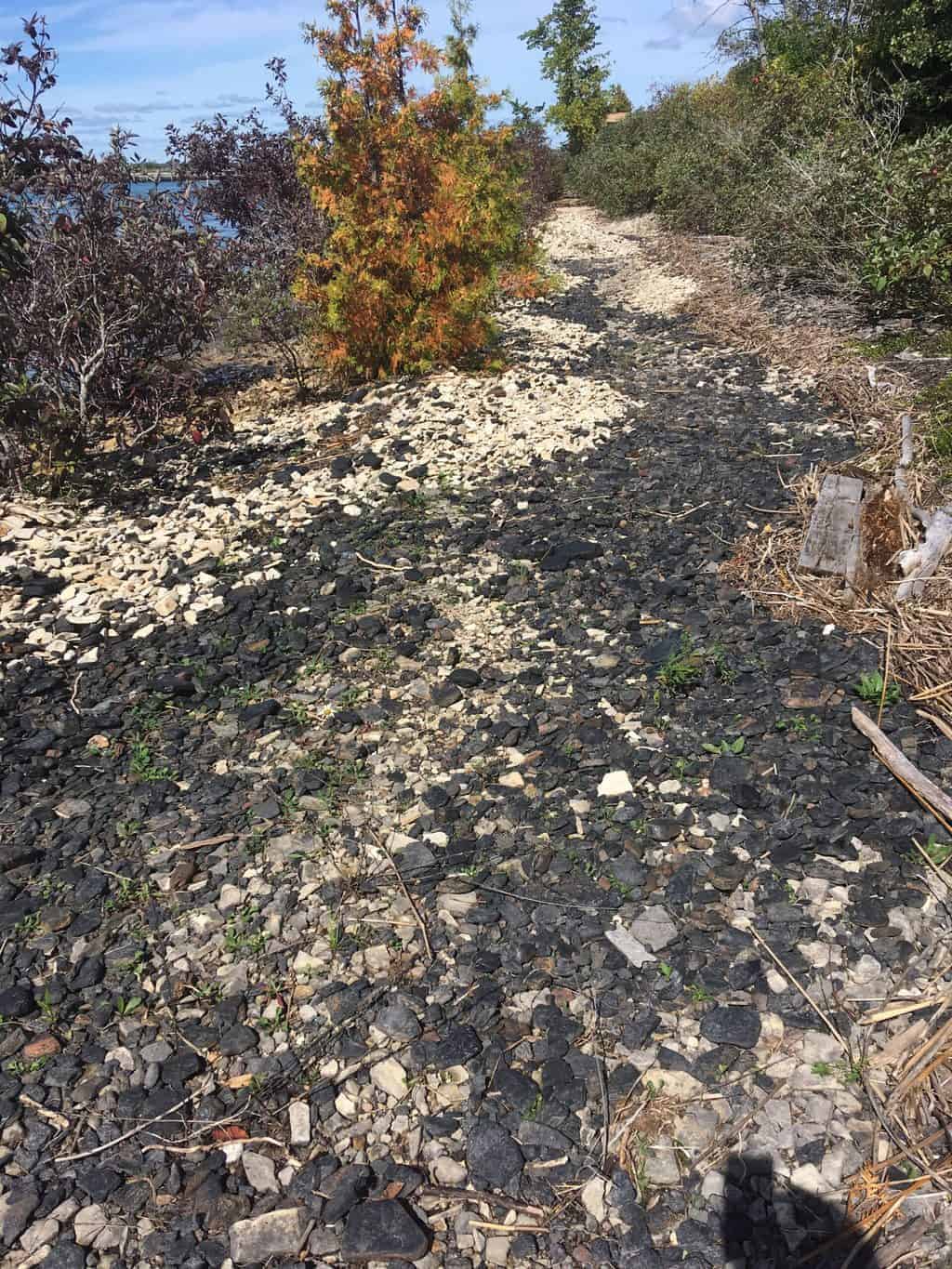 Michigan State Parks: Lime Island Recreation Area - TREKERS