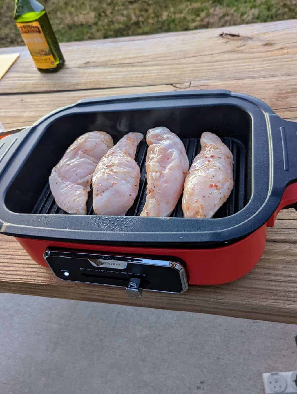 Electric Ventray grill might be a hot item in your RV kitchen - TREKERS
